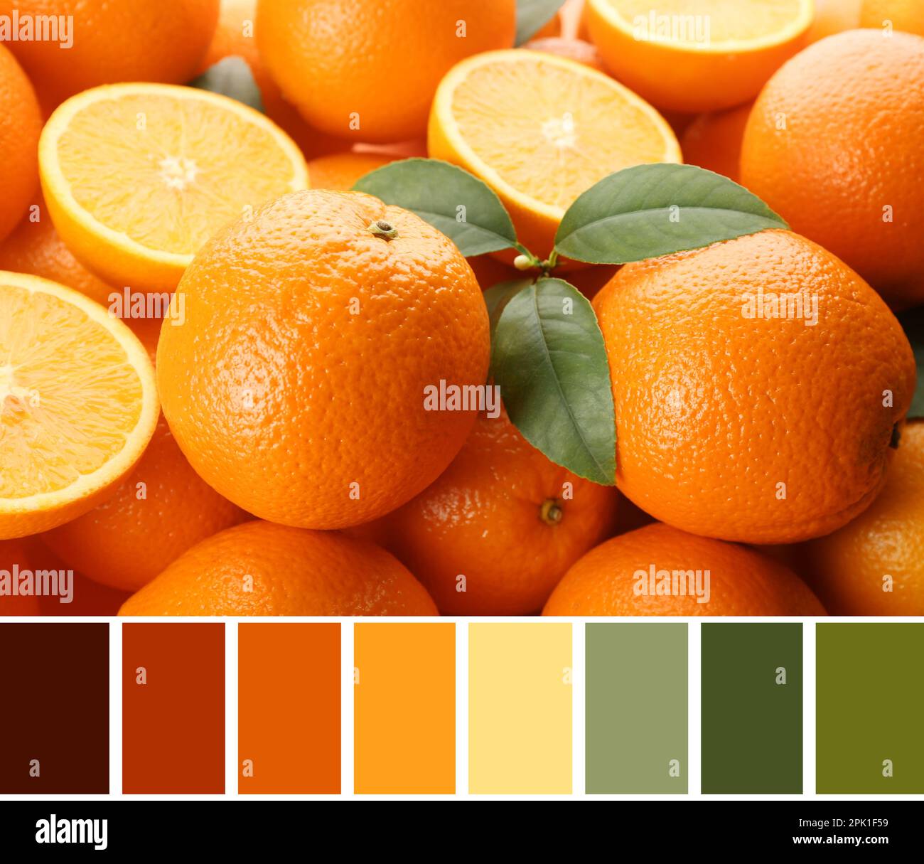 Color palette and fresh ripe oranges as background, closeup Stock Photo ...