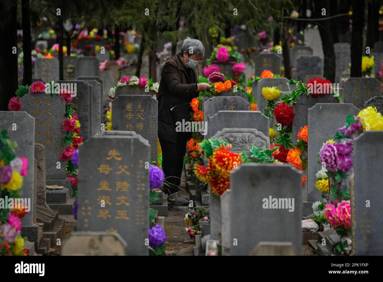 An elderly woman places flowers on a tomb during Qingming festival also ...