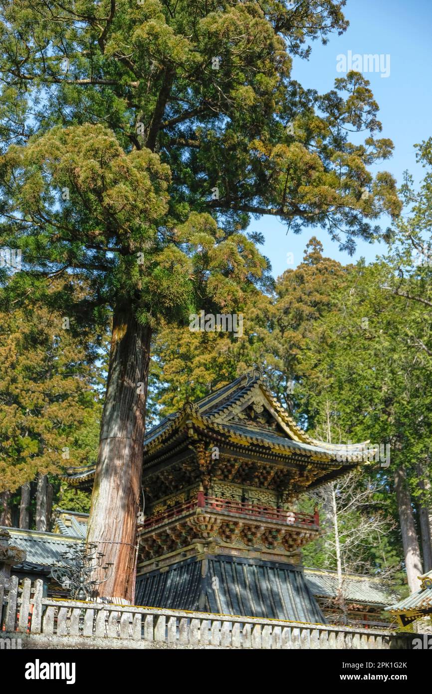 Nikko, Japan - March 11, 2023: Nikko Toshogu, the shinto shrine a ...
