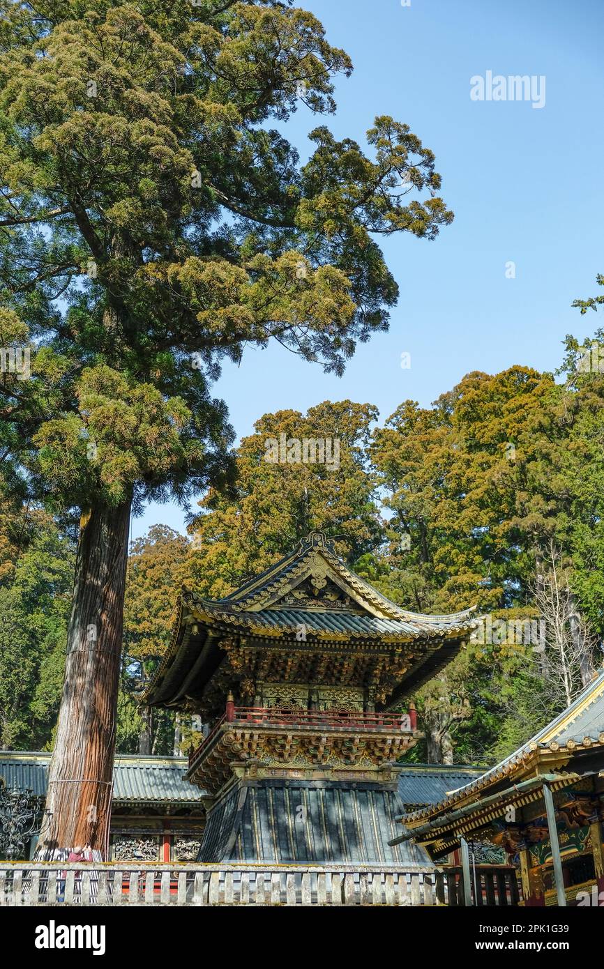 Nikko, Japan - March 11, 2023: Nikko Toshogu, the shinto shrine a ...