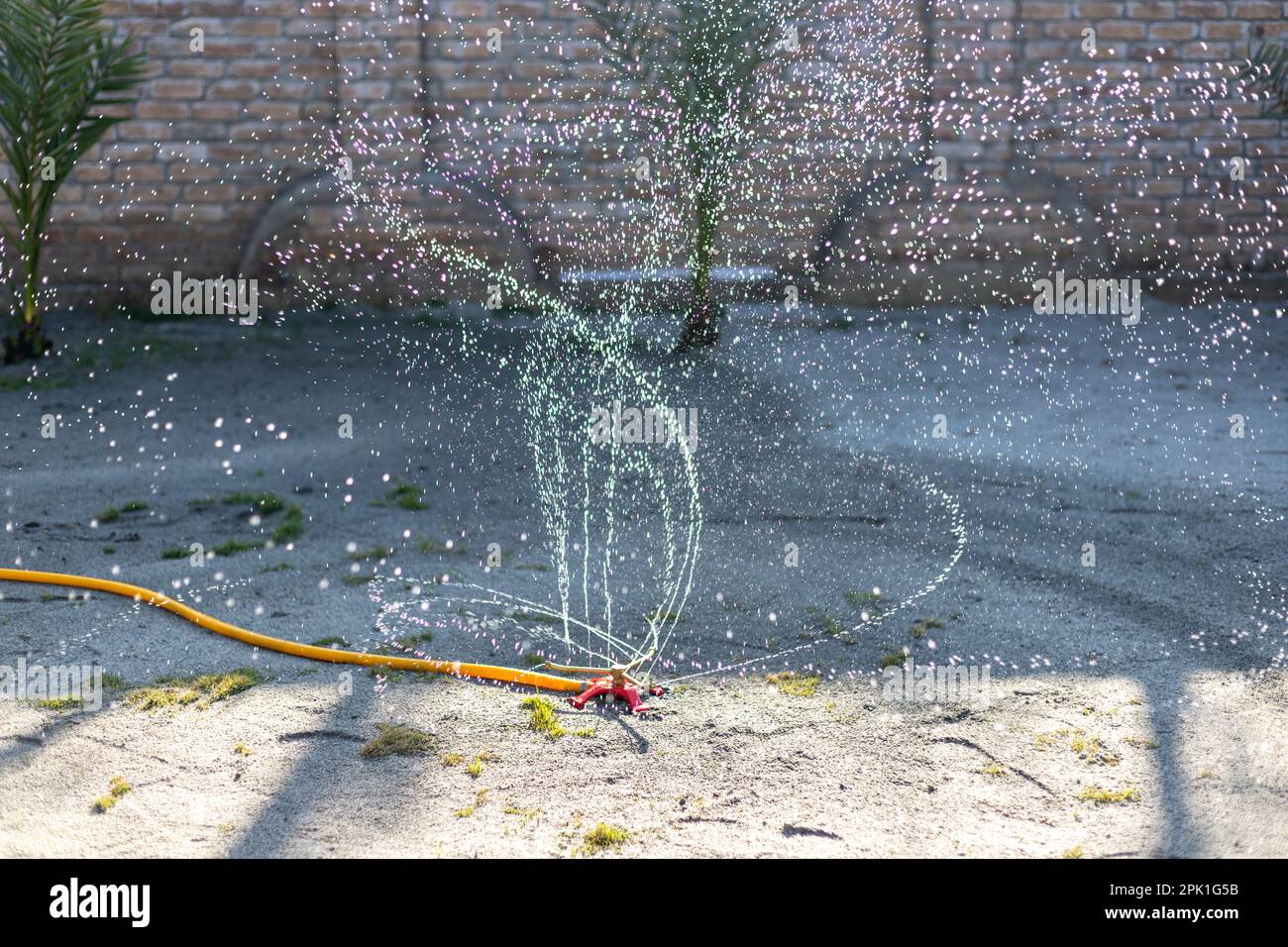 Garden lawn sprinkler in action watering the grass Stock Photo - Alamy