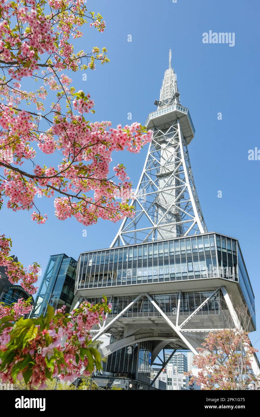 Nagoya, Japan - March 14, 2023: Cherry blossoms next to the Chubu ...