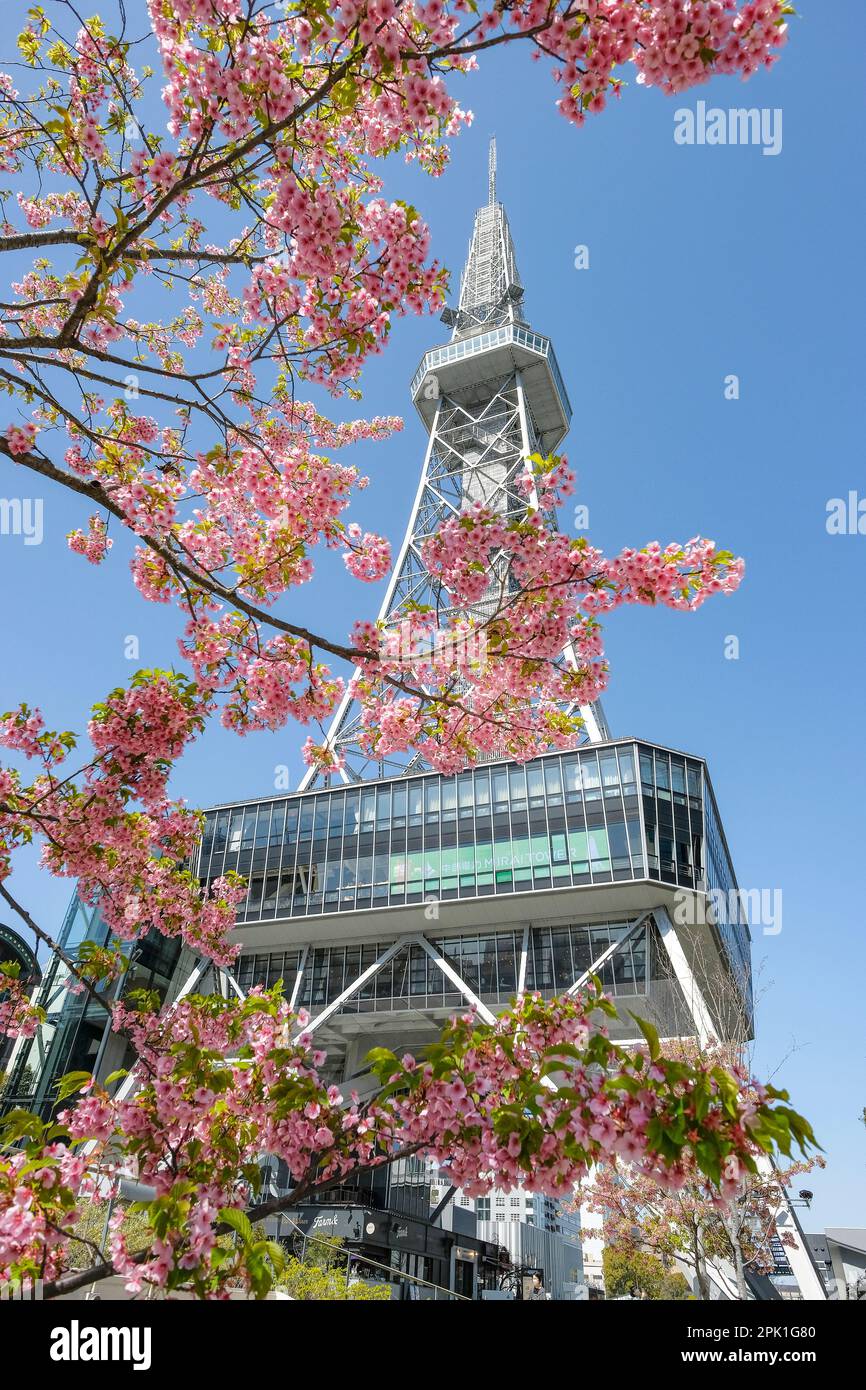 Nagoya, Japan - March 14, 2023: Cherry blossoms next to the Chubu ...