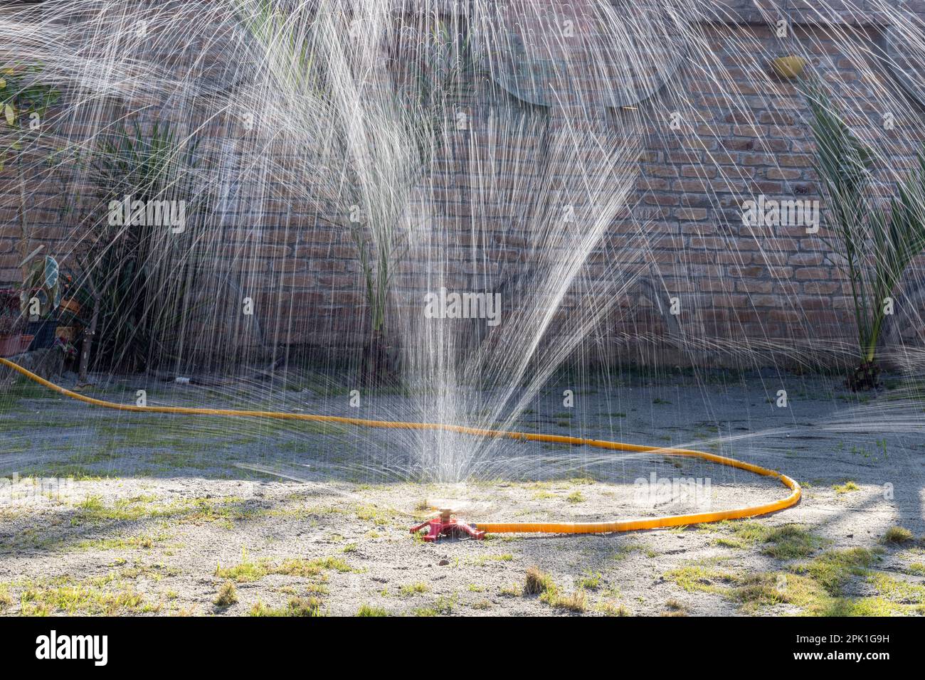 Water sprinkler in action in the garden. Lawn 360 degree rotation ...