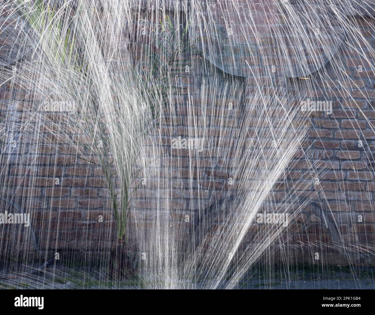 Water drops lawn sprinkler hi-res stock photography and images - Alamy