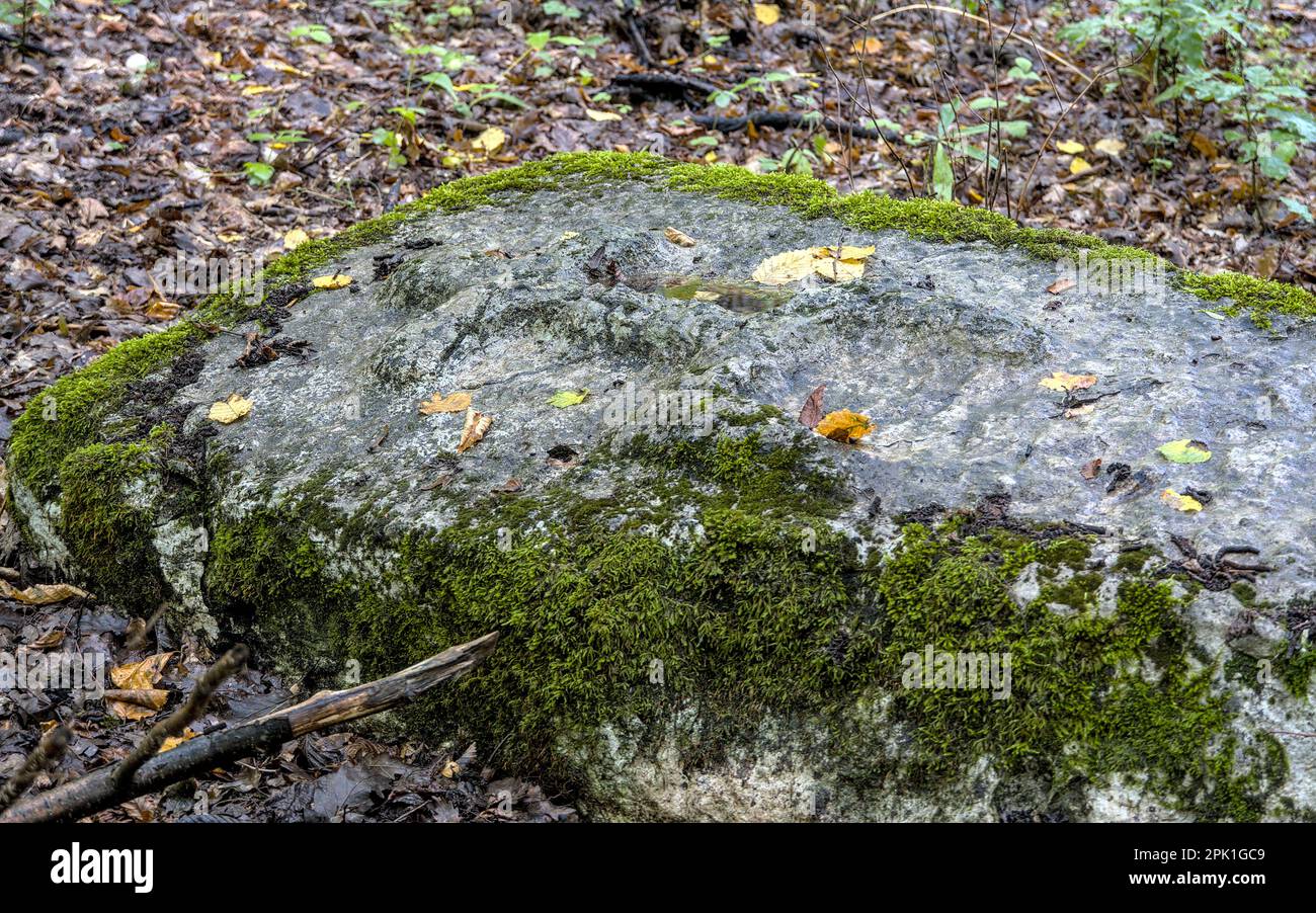 Vrbica, Foča, Bosnia and Herzegovina – September 2022: Stećak-Tombstone ...