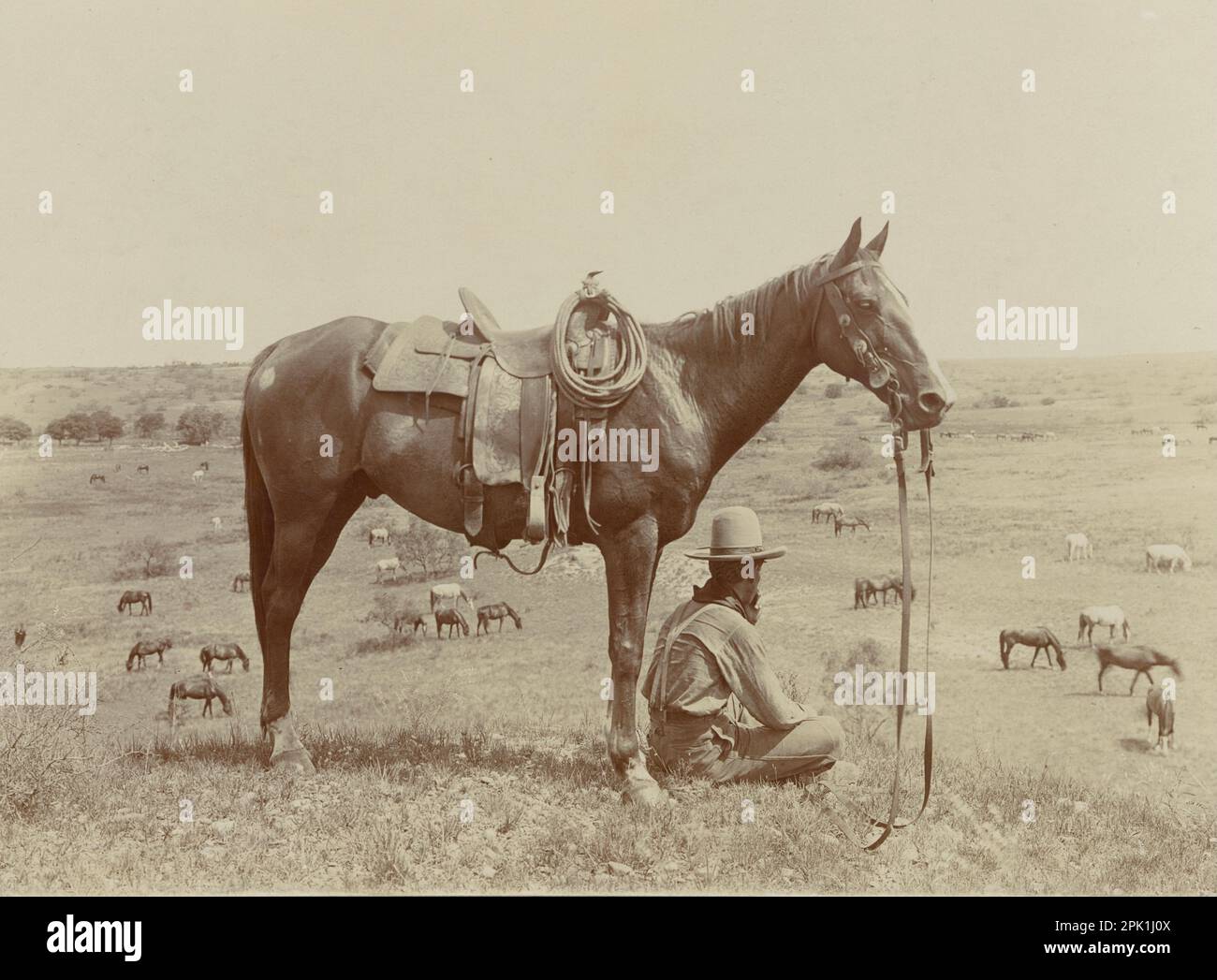 The Horse Wrangler, photograph by Erwin E. Smith - 1910 - A seated ...