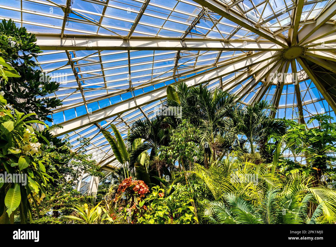 Nice, France - July 30, 2022: Parc Phoenix Park botanic and zoology ...
