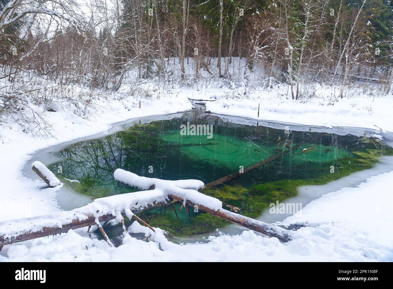 Siniallikad hi-res stock photography and images - Alamy