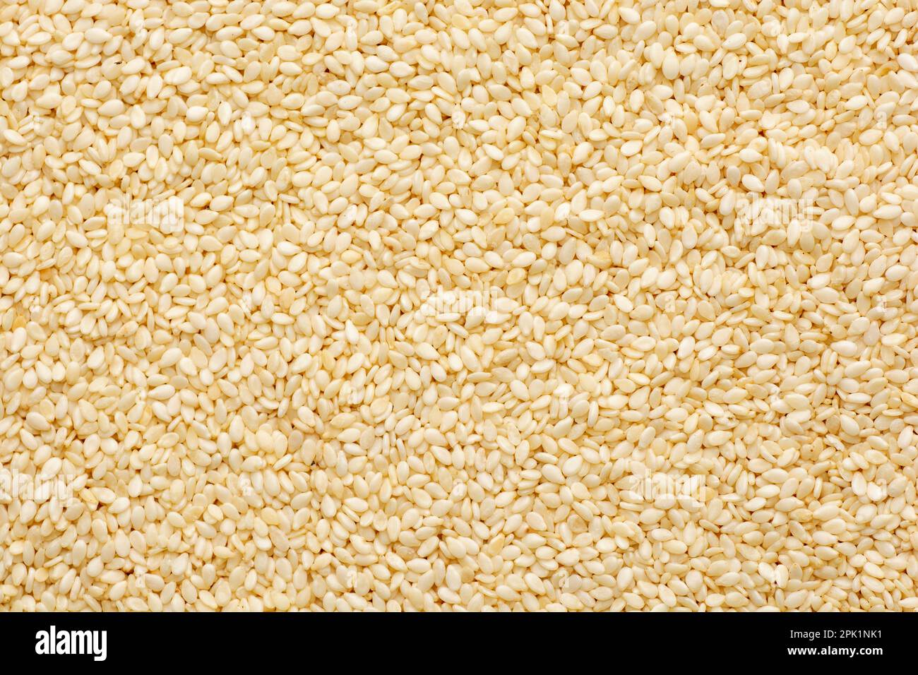 Closeup of lots of white sesame seeds. Sesame seeds background Stock ...