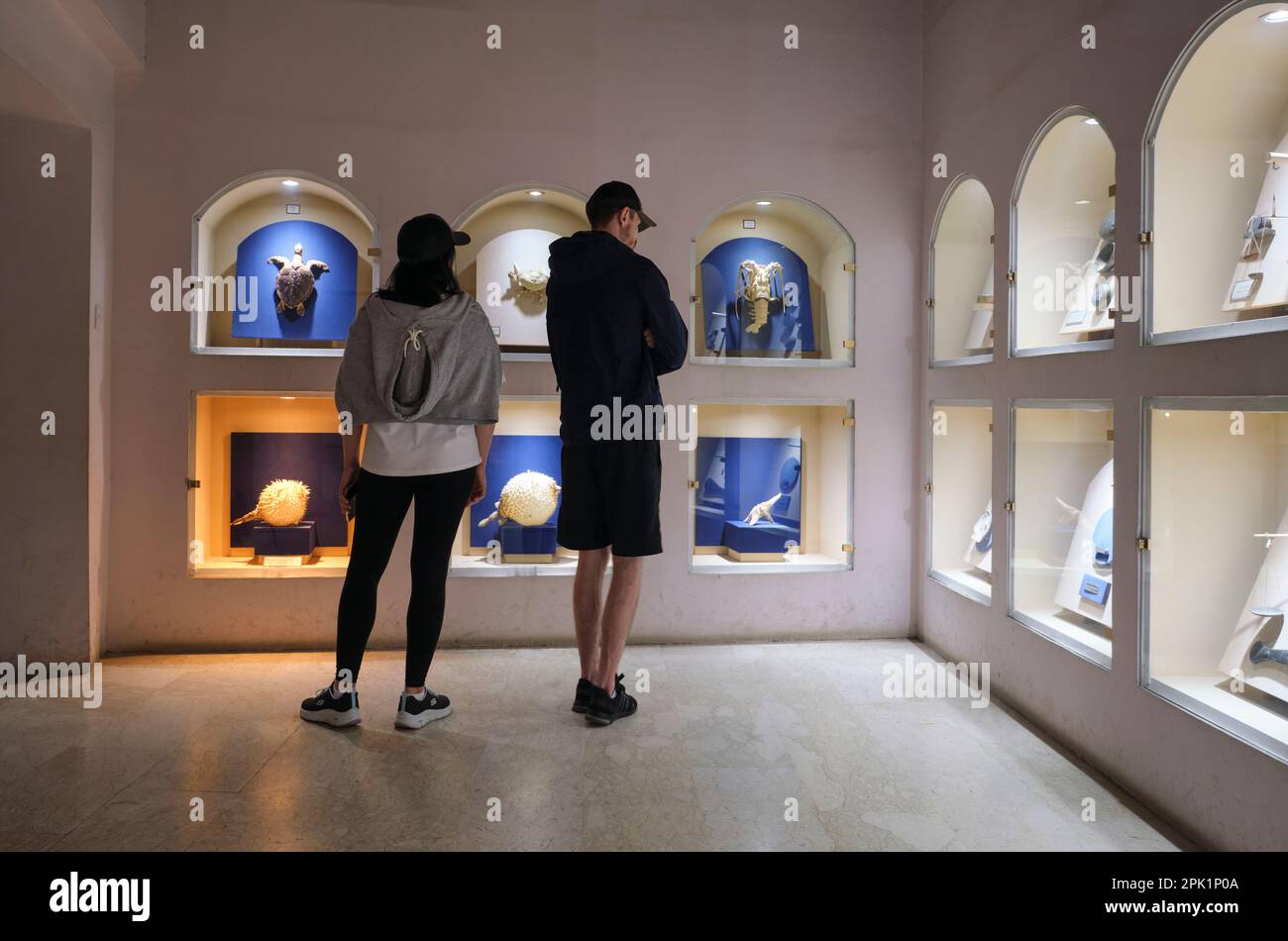 Visitors in the history museum gallery that features sea life, pearl ...