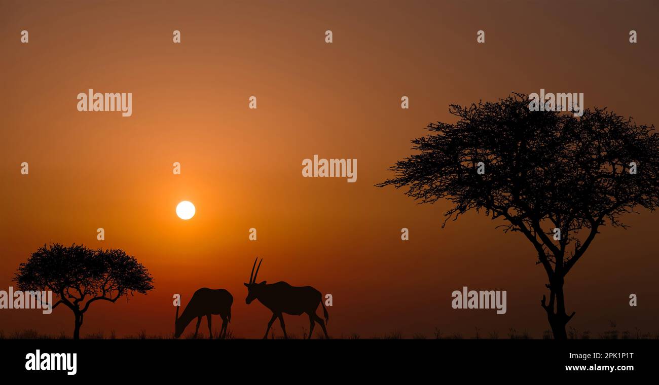 Silhouettes of african wild animals at sunset. Evening in African ...