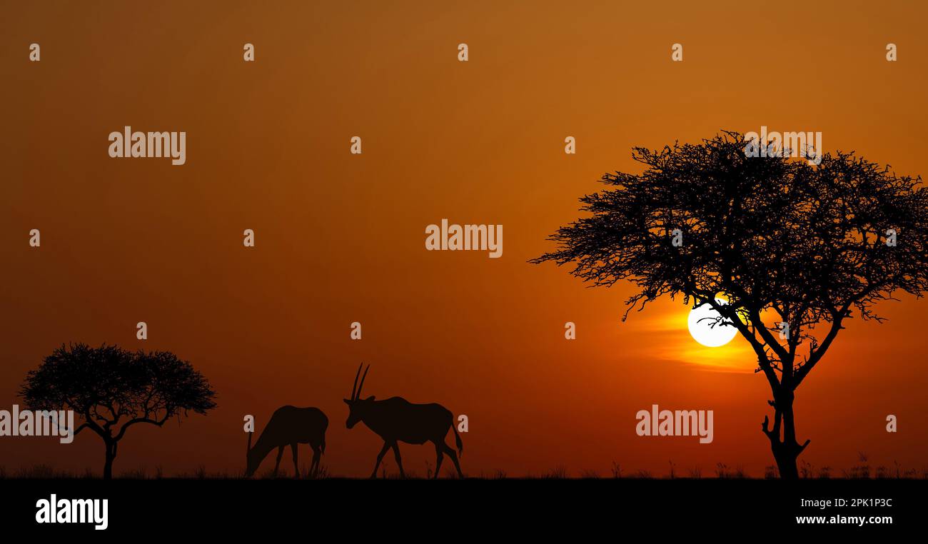 Silhouettes of african wild animals at sunset. Evening in African ...