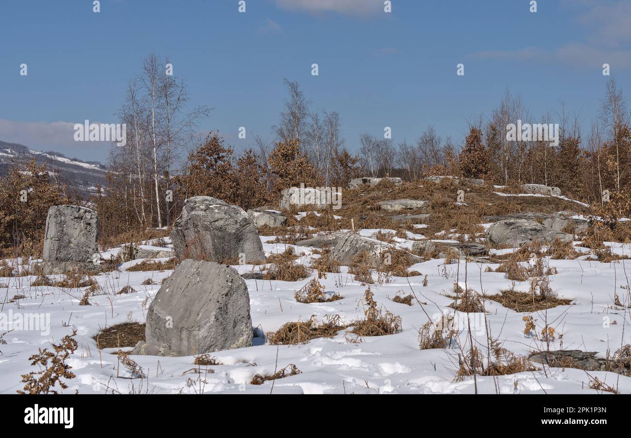 Hrta hi-res stock photography and images - Alamy