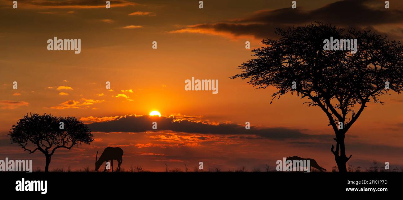 Silhouettes of african wild animals at sunset. Evening in African ...