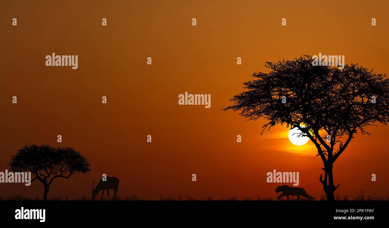 Silhouettes of african wild animals at sunset. Evening in African ...