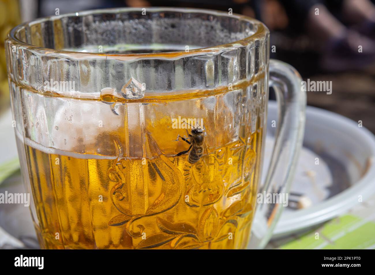 a large black and yellow bee drinks old golden beer from a pint glass ...