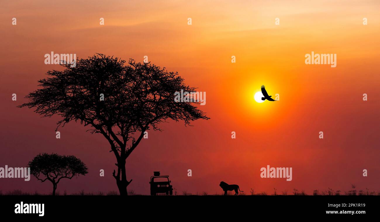 Silhouettes of african wild animals at sunset. Evening in African ...