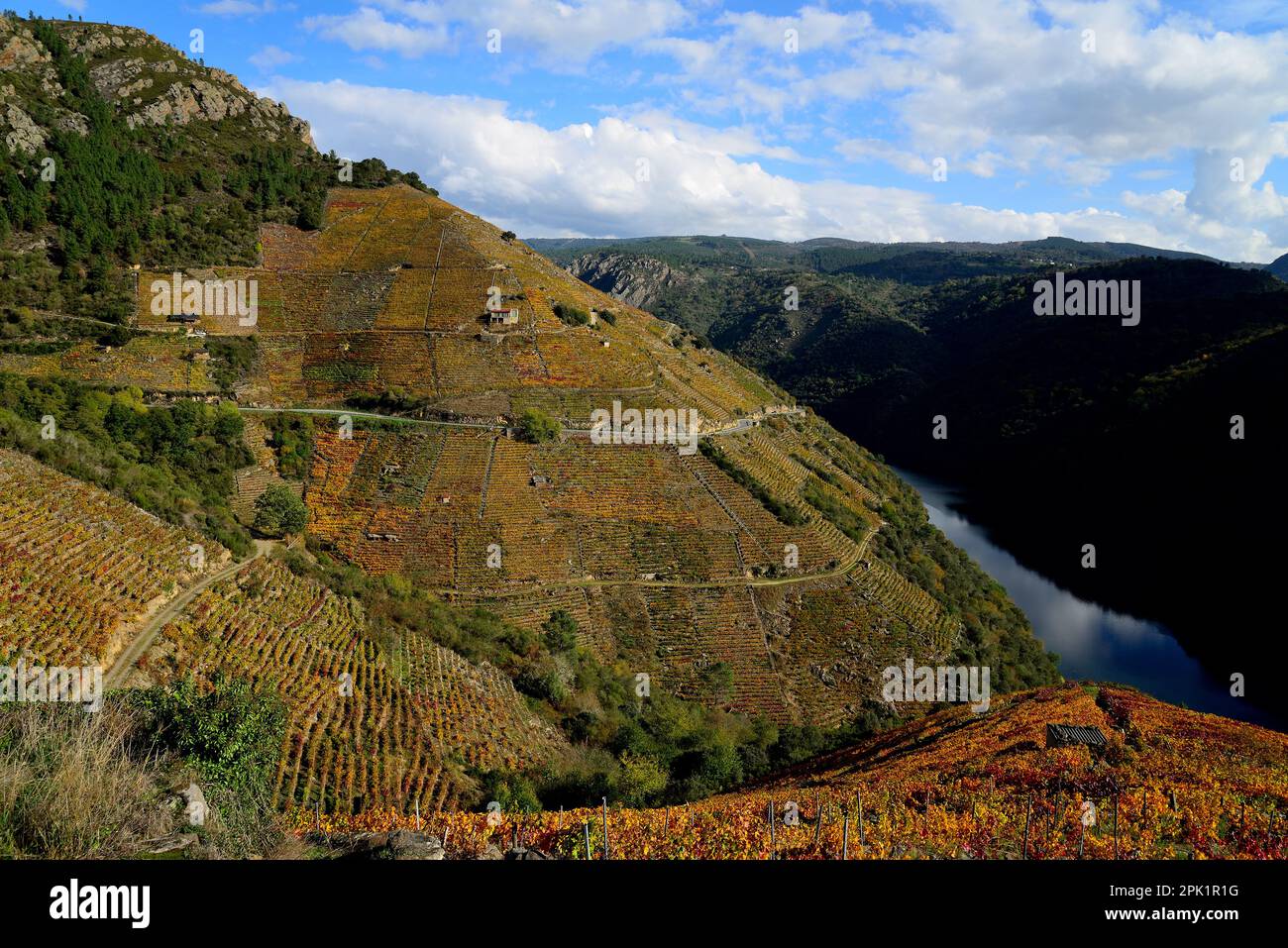 Canyon of Sil river, Doade, Sober, Lugo, Spain Stock Photo - Alamy