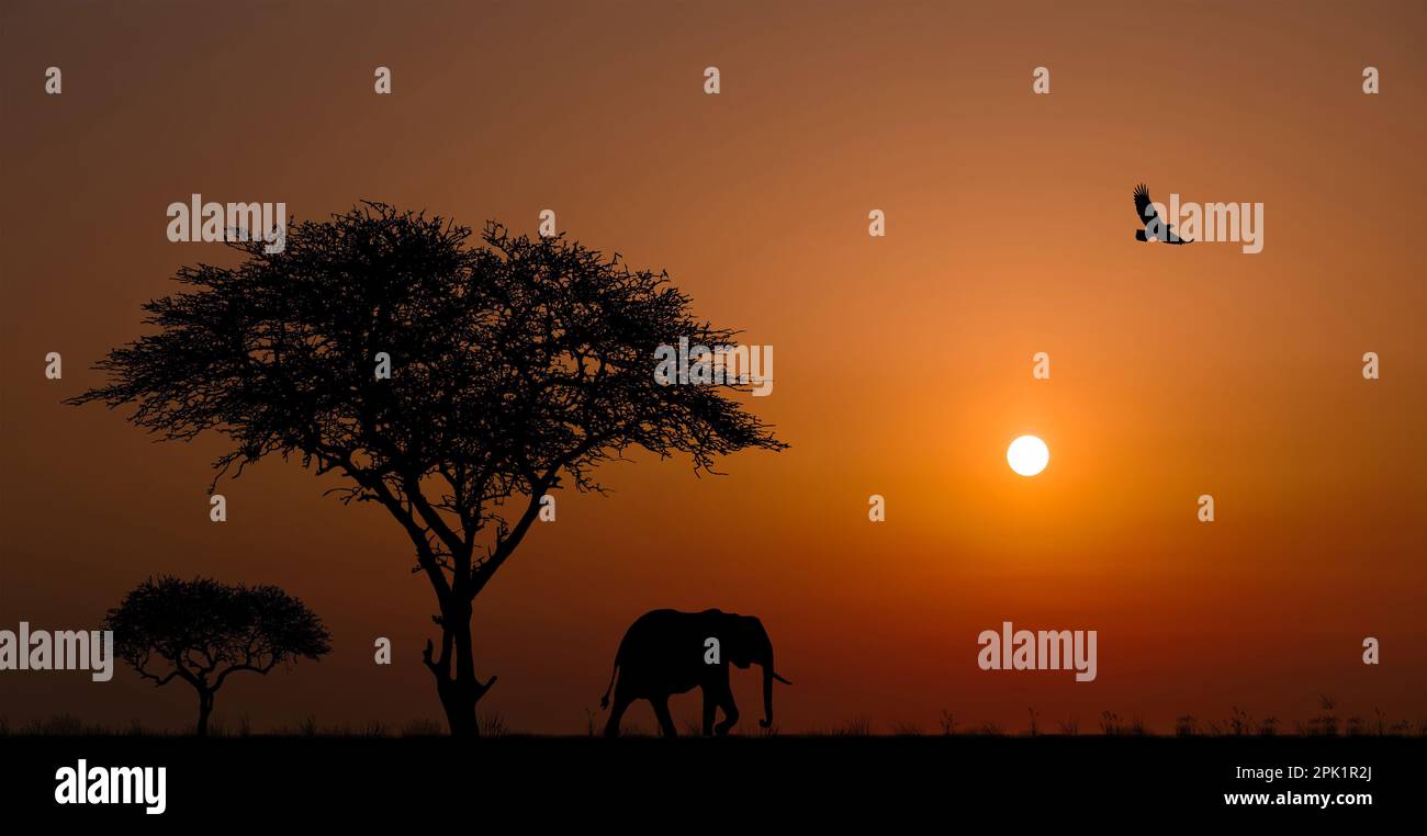 Silhouettes of african wild animals at sunset. Evening in African ...