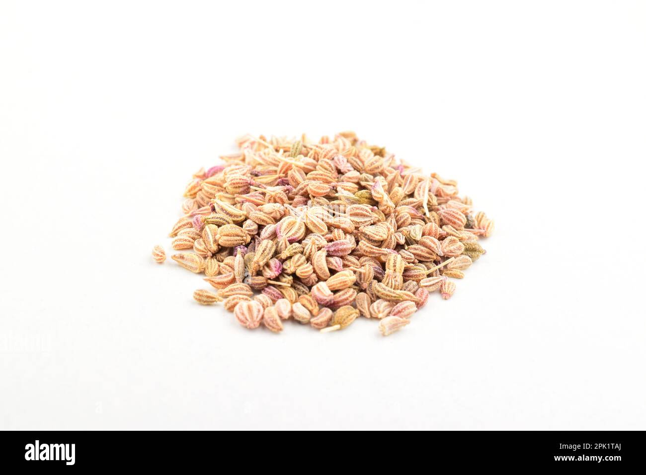 Carom seeds on white background Stock Photo - Alamy