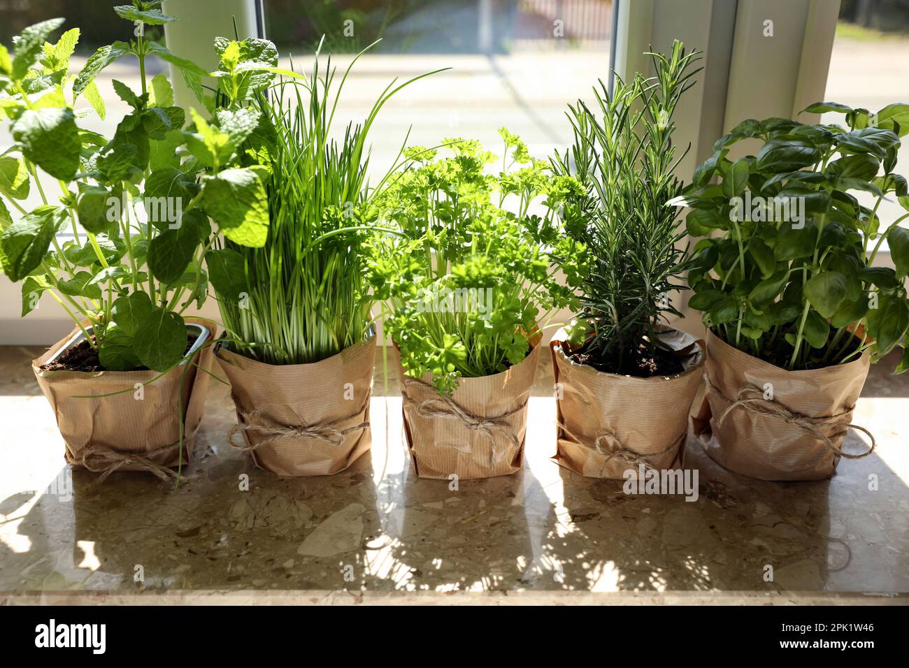 Different aromatic potted herbs on windowsill indoors Stock Photo - Alamy