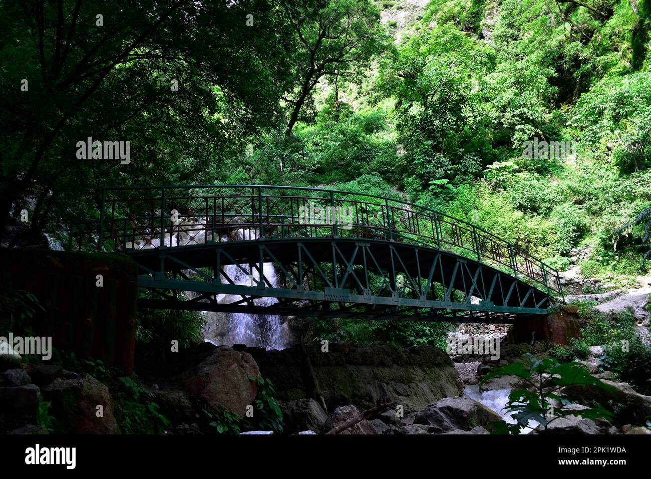 Bridge in forest natural pathway Stock Photo - Alamy