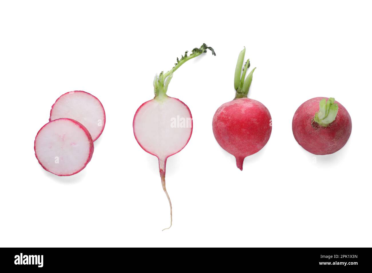 Whole and cut tasty ripe radish on white background, top view Stock ...