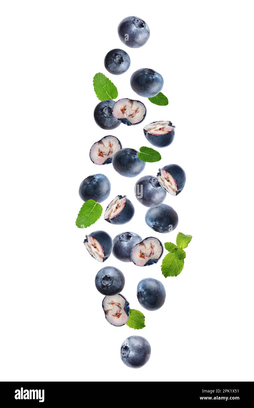 Tasty ripe blueberries with green leaves flying on white background ...