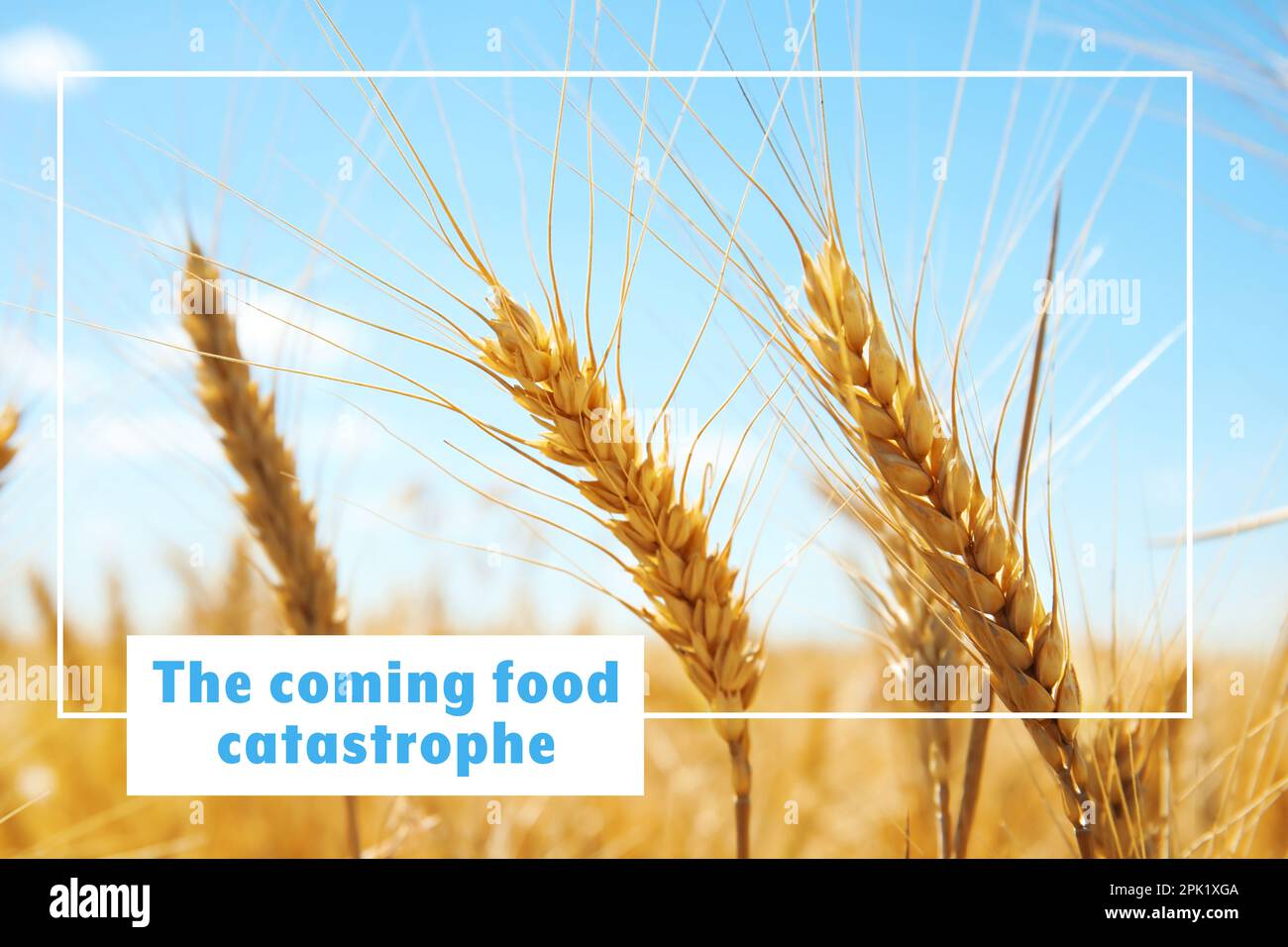 Farming catastrophe hi-res stock photography and images - Alamy