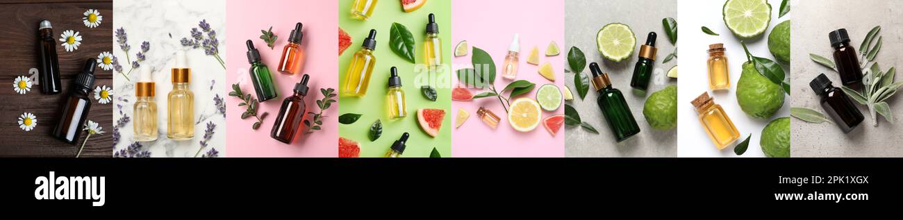 Collage with beautiful photos of different natural essential oils, top ...