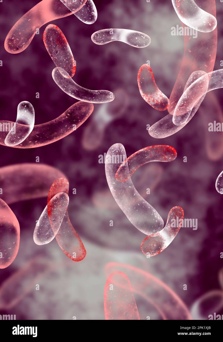 Bacteria colony under microscope, illustration. Cystitis, infection of ...