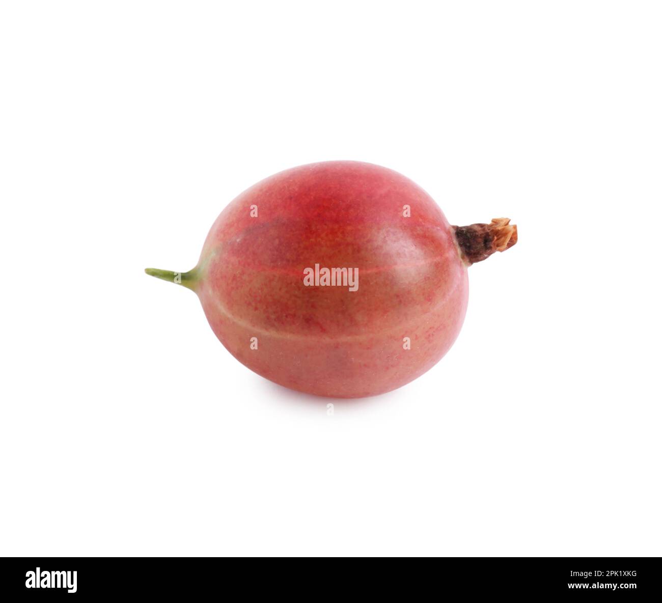 One fresh ripe gooseberry isolated on white Stock Photo - Alamy