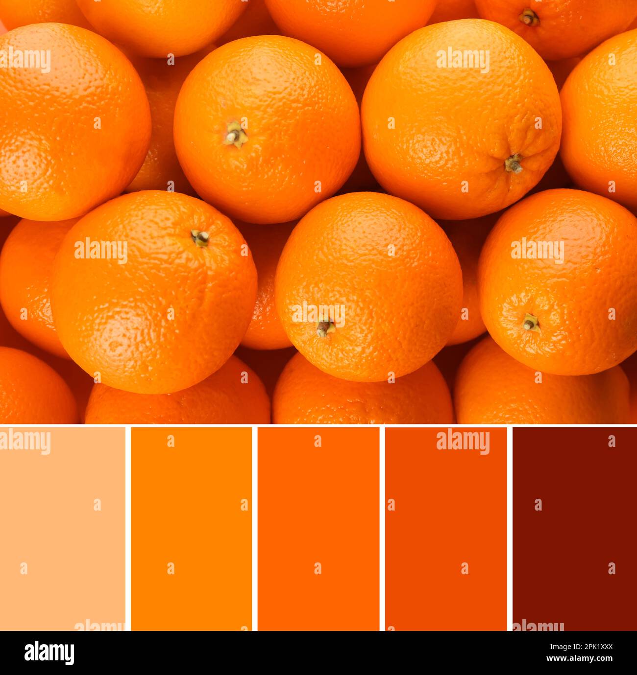 Color palette and fresh ripe oranges as background, top view Stock ...