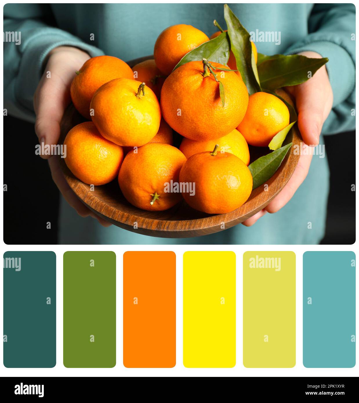 Color matching palette hi-res stock photography and images - Alamy