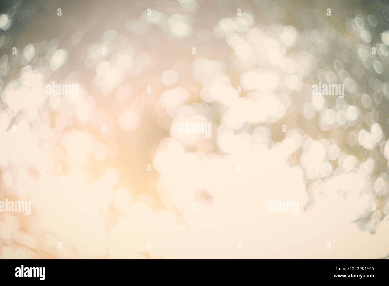 Blur dream like sunshine shade clean morning nature and bokeh ...