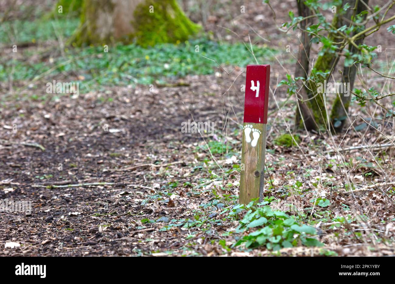 Pole in the forest, follow the track, the Netherlands Stock Photo - Alamy