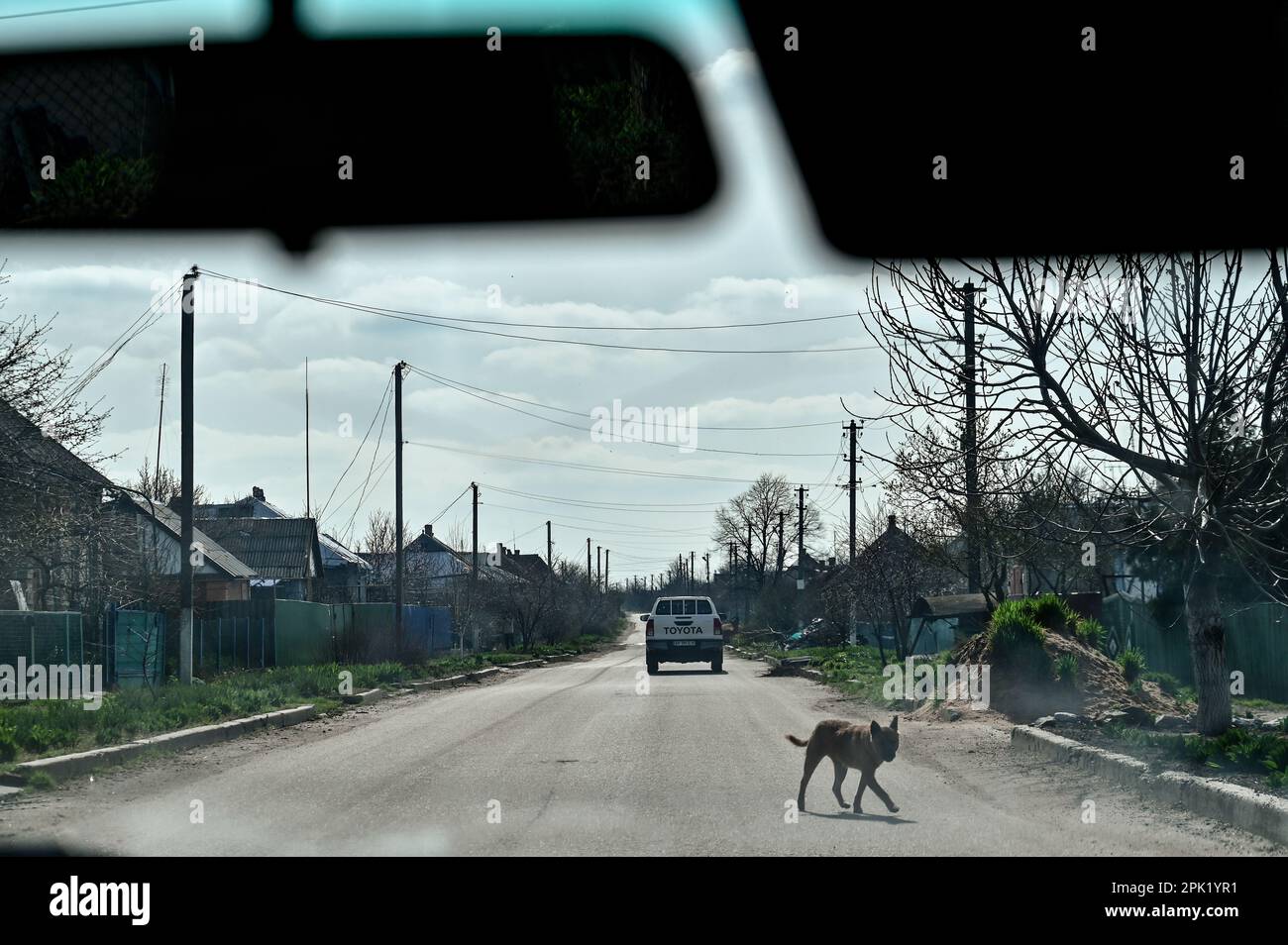 ORIKHIV, UKRAINE - APRIL 4, 2023 - A dog crosses a road as seen through ...