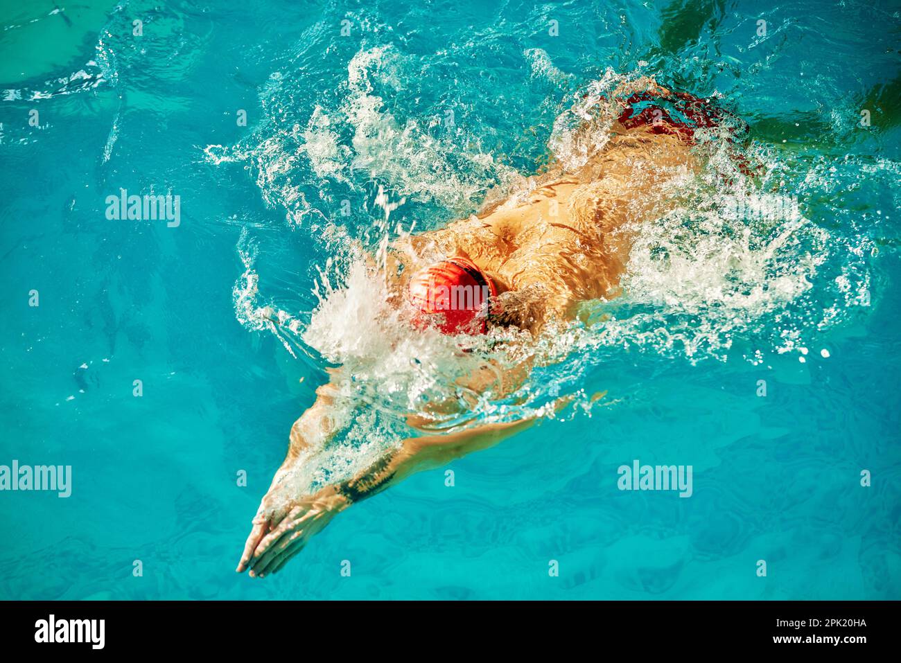 Aerial Top View Male Swimmer Swimming in Swimming Pool. Professional ...