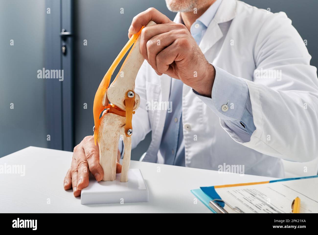 Human knee joint meniscus hi-res stock photography and images - Alamy