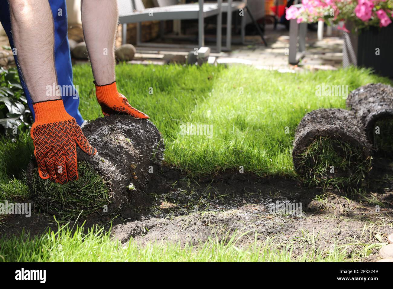 Gardener laying grass sod on backyard, closeup Stock Photo - Alamy