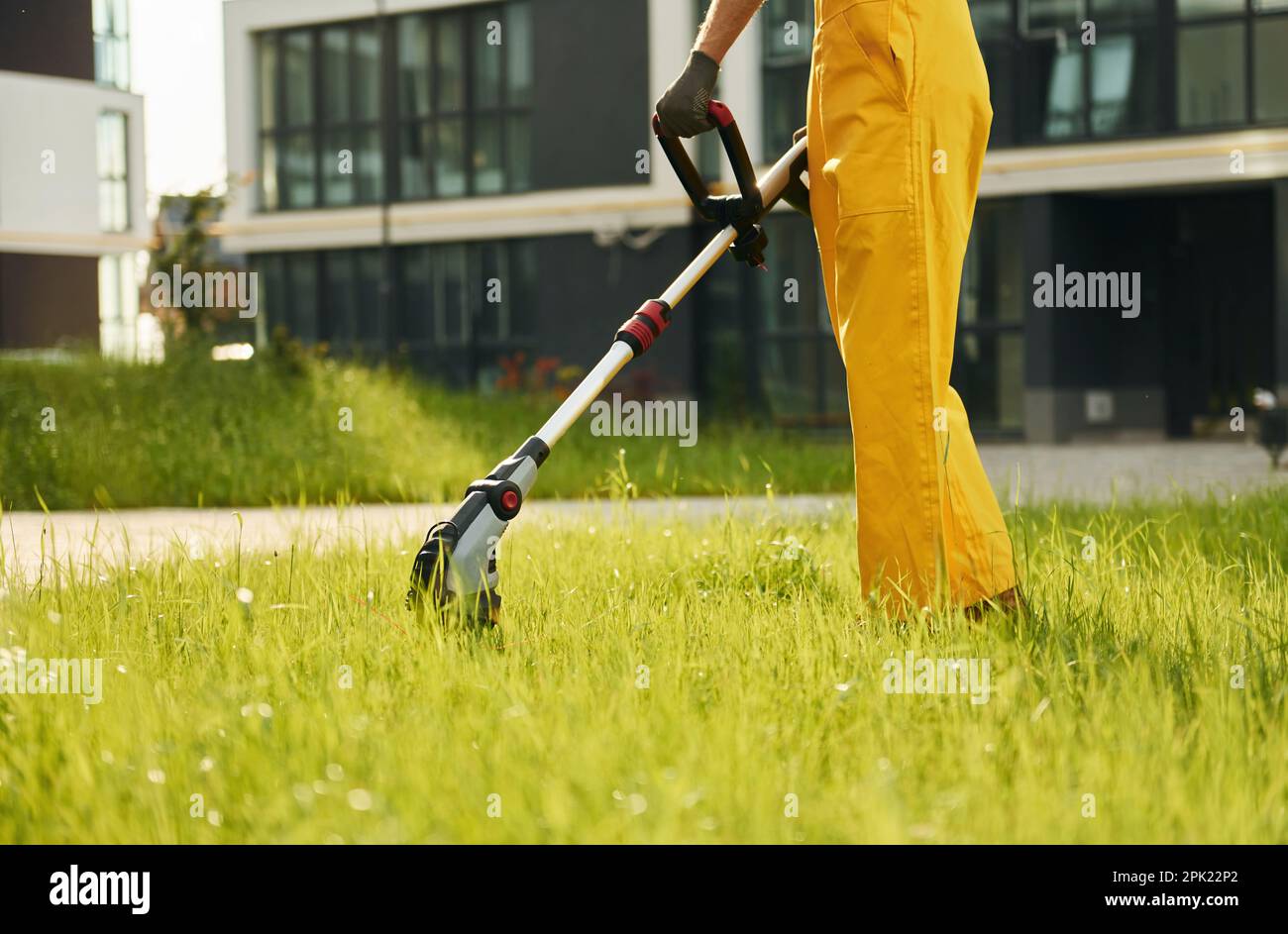 Close up view. Man cut the grass with lawn mover outdoors in the yard ...