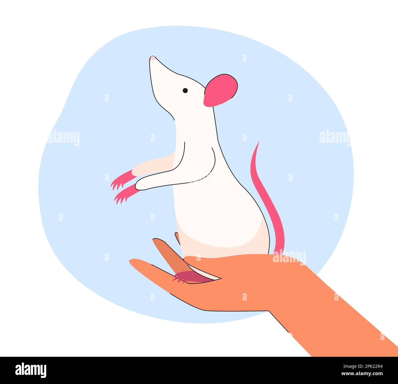 Cute white rat character sitting on hand Stock Vector Image & Art - Alamy
