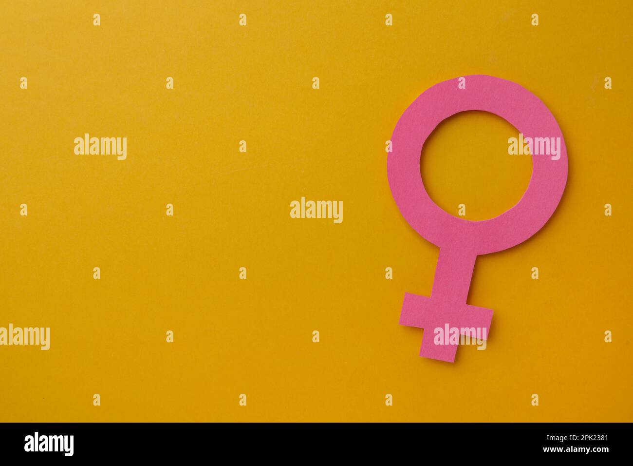 Female gender sign and space for text on orange background, top view ...