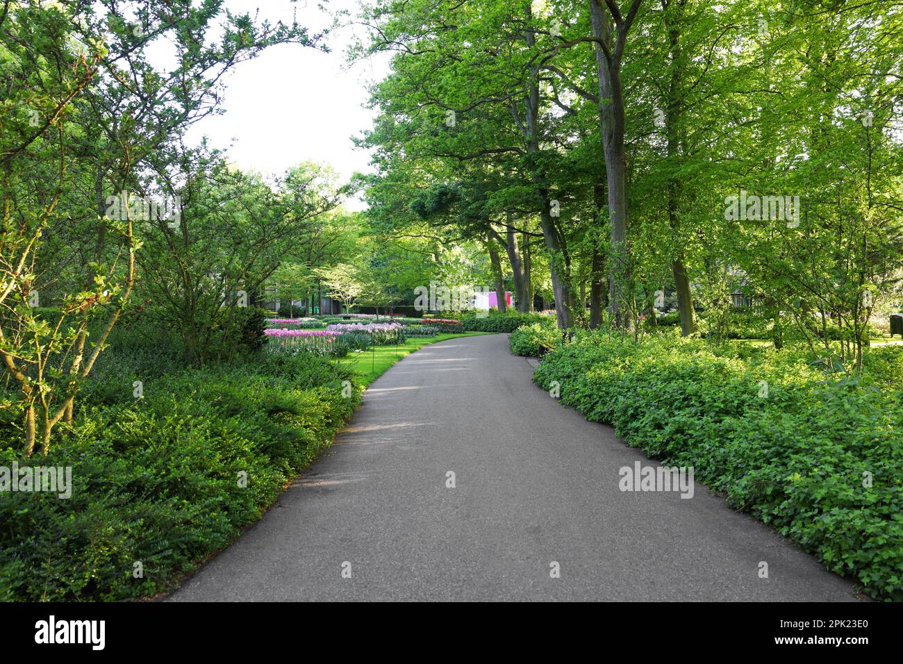 Tablets sunny hi-res stock photography and images - Alamy