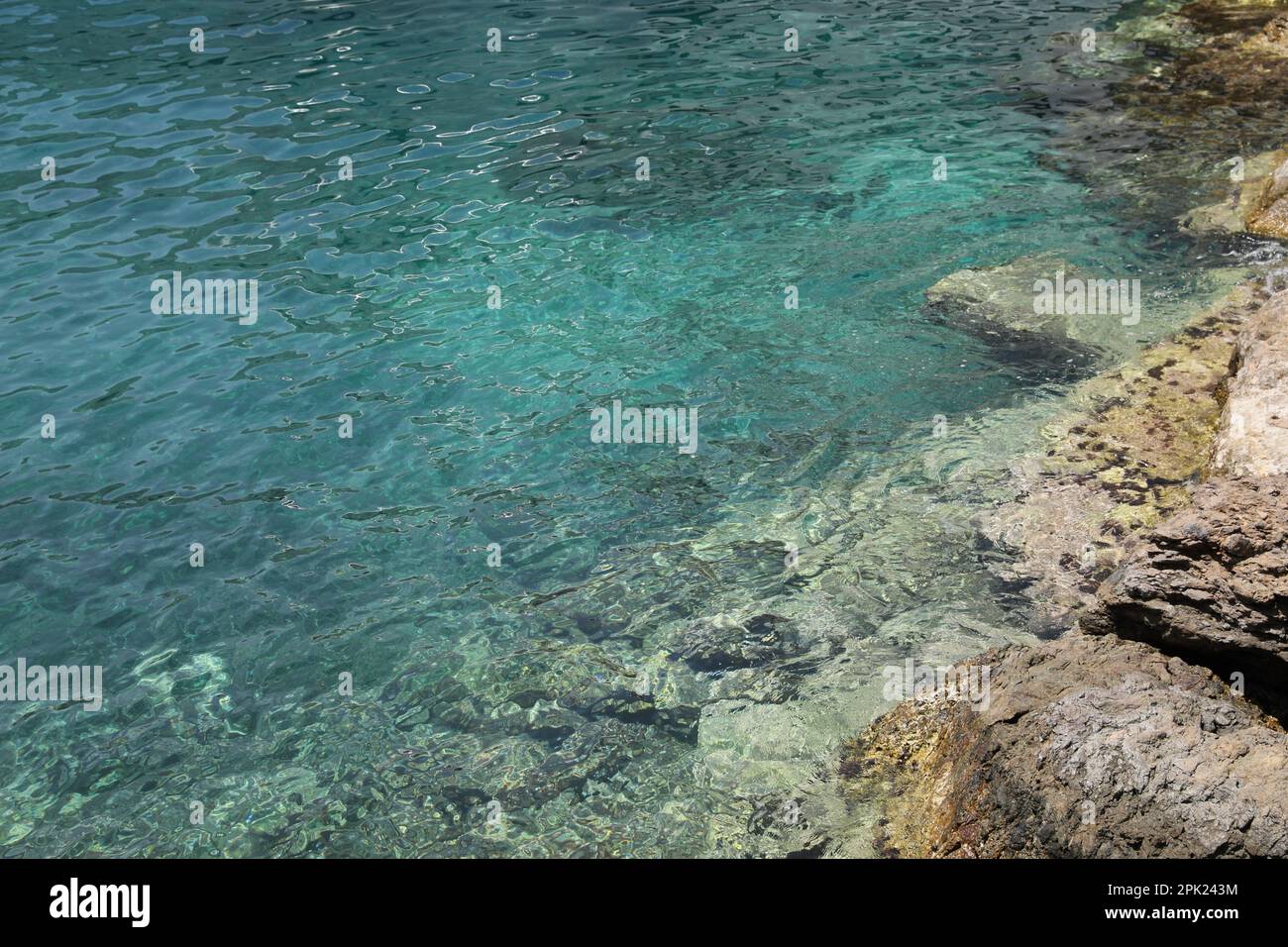 Shallow water with rocky sea bottom as background Stock Photo - Alamy