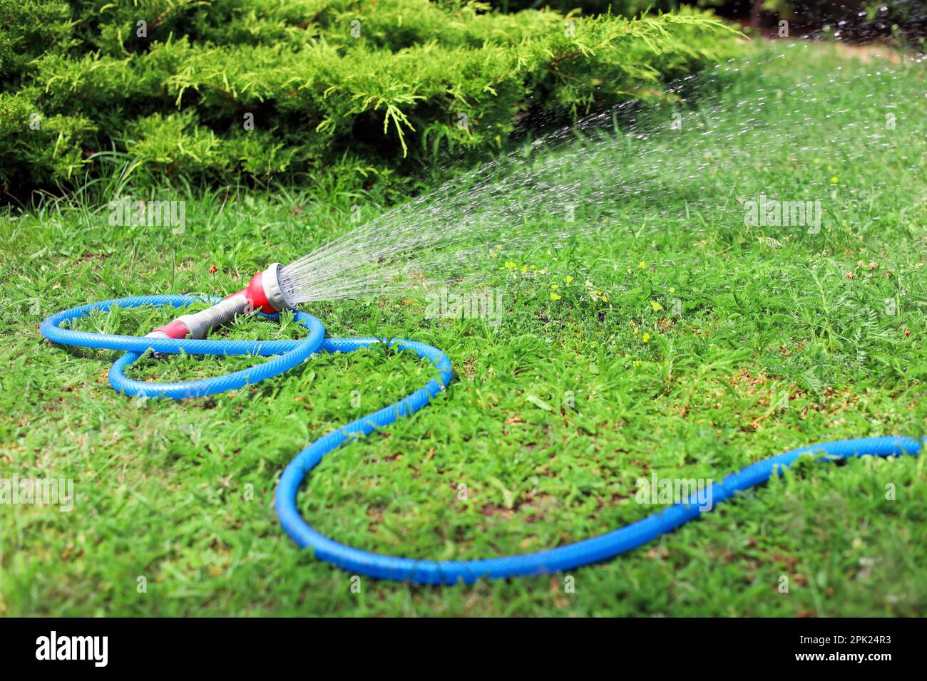 Water spraying from hosepipe sprinkler hi-res stock photography and ...