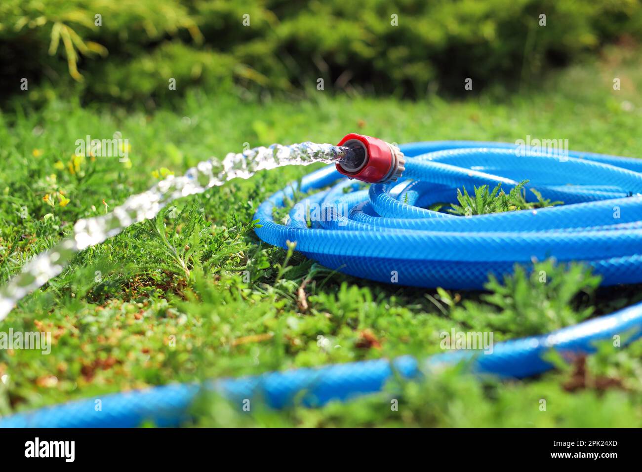 Pour water and grass closeup hi-res stock photography and images - Alamy
