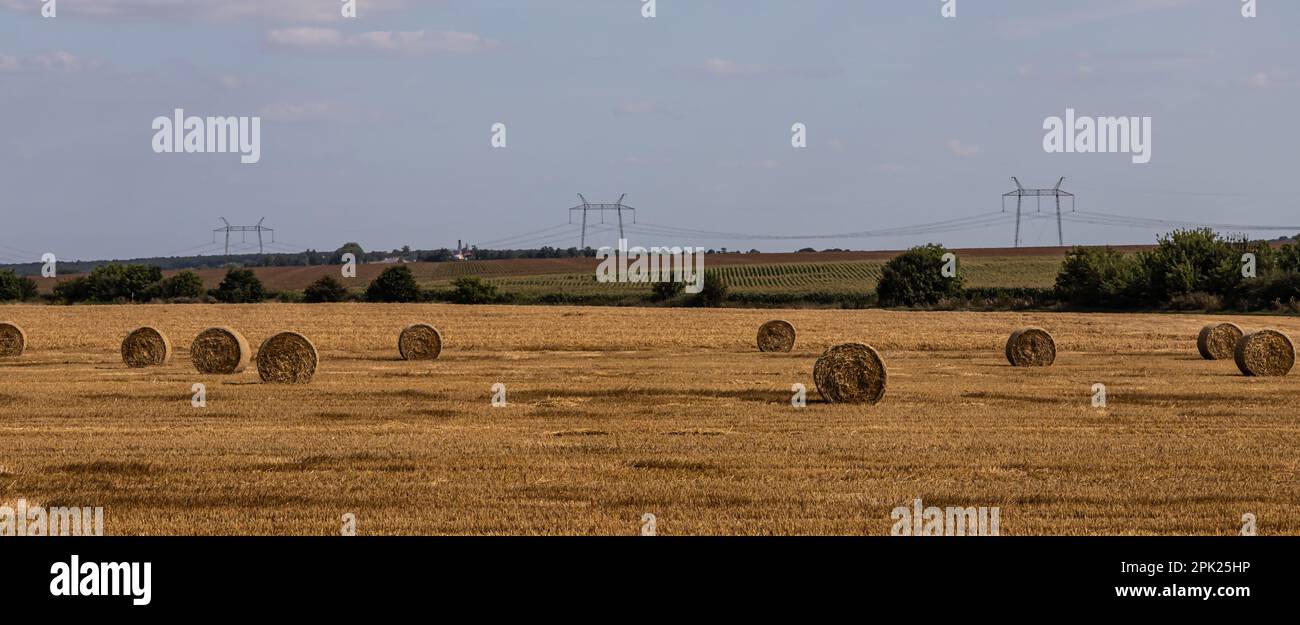 Stacks of straw - bales of hay, rolled into stacks left after ...