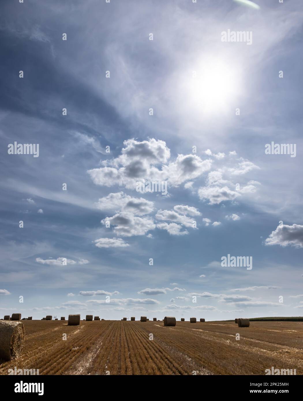 Stacks of straw - bales of hay, rolled into stacks left after ...
